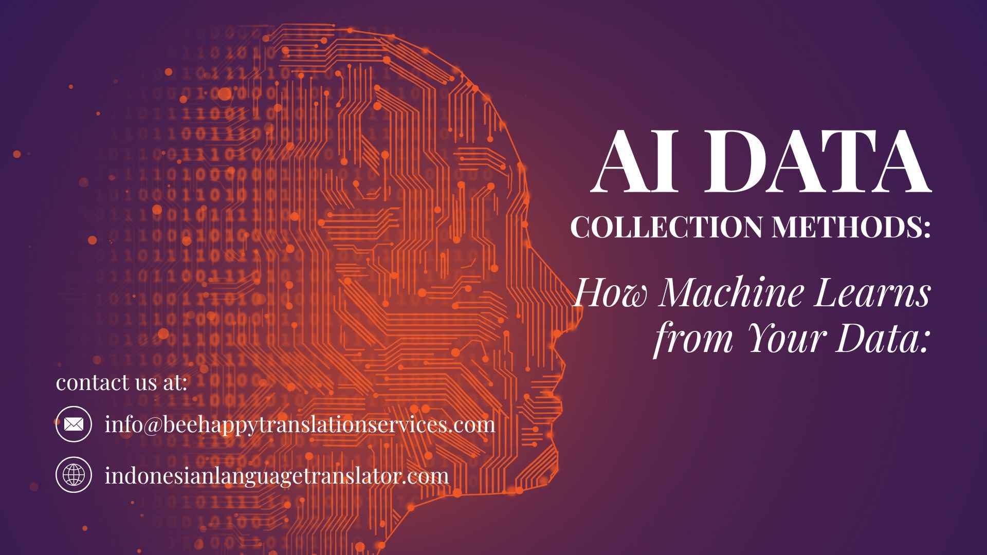 AI Data Collection Method: How Machine Learns from Your Data
